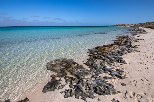 Your Guide to Visiting Coral Bay, Western Australia – Her Wild Habit ...