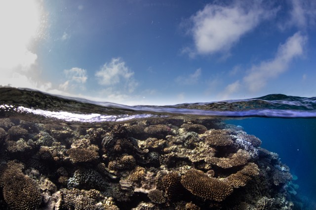 Your Guide to Visiting Coral Bay, Western Australia – Her Wild Habit ...